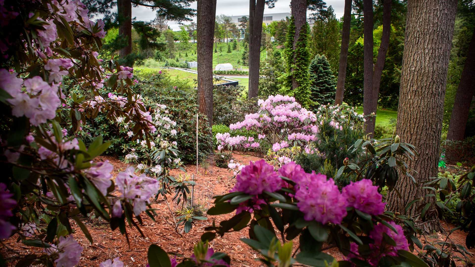 Garden Tour - Cornellians | Cornell University