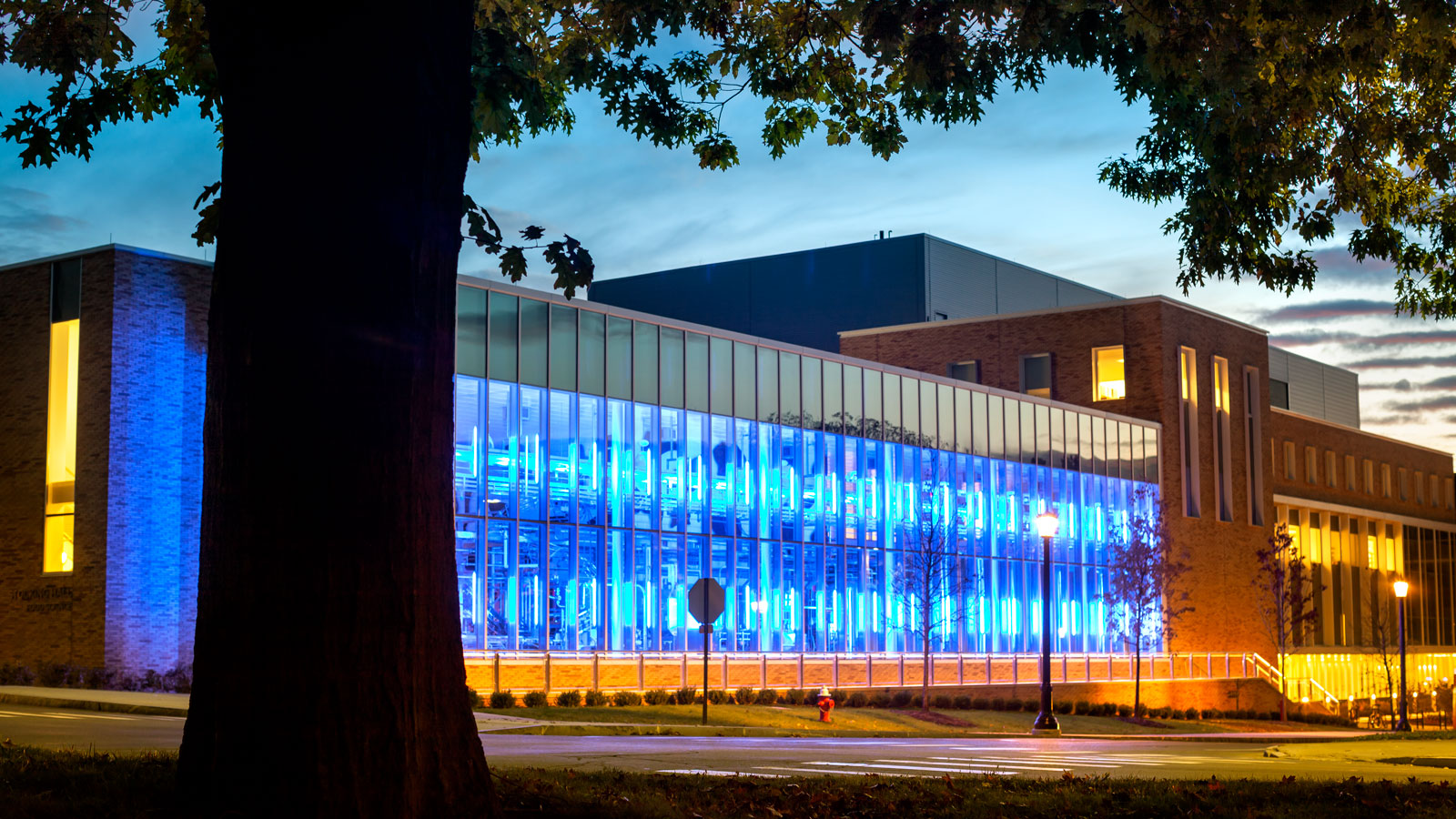 The Scoop on Cornell Dairy Treats - Cornellians | Cornell University