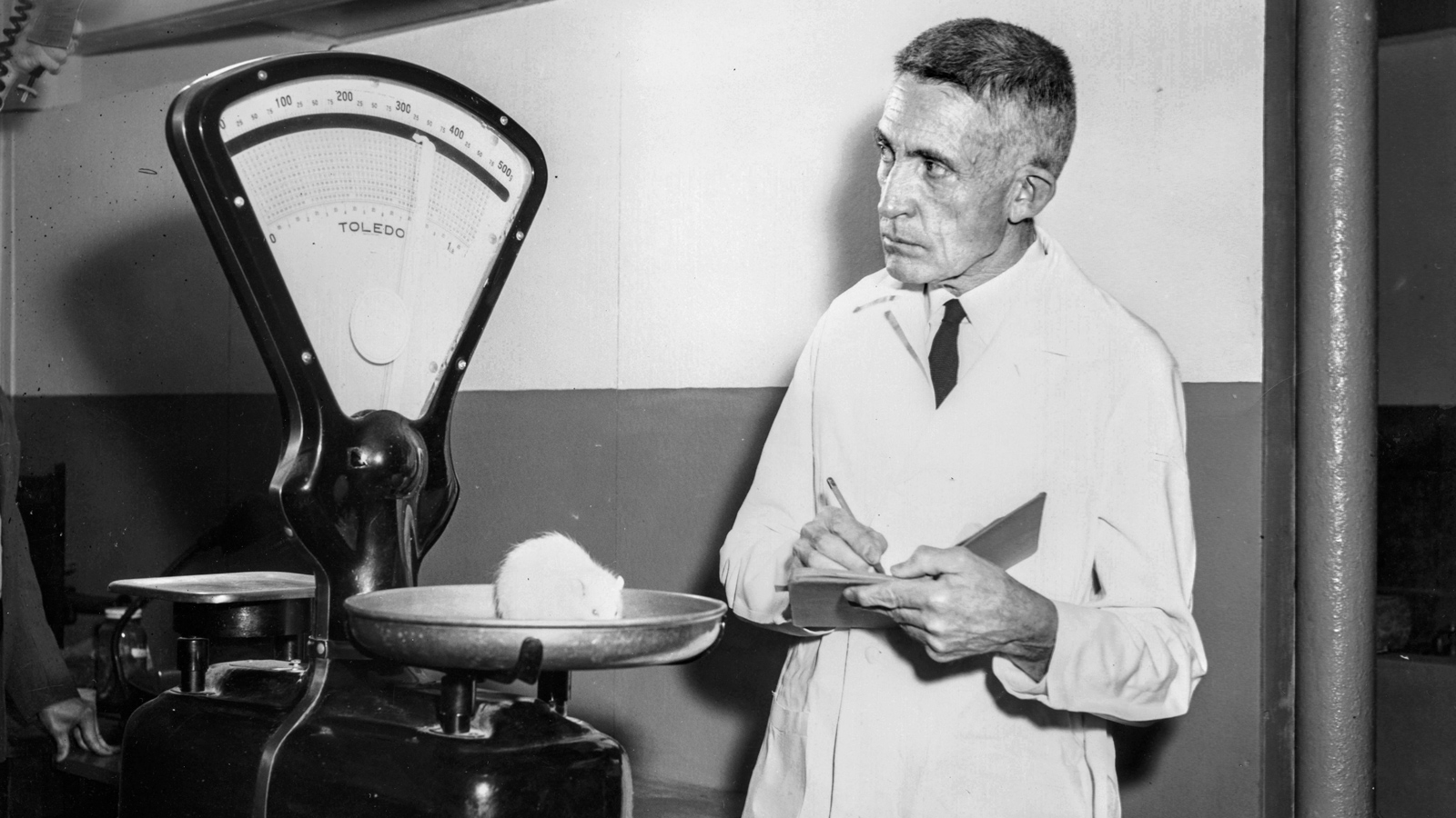 Classic ‘Cornell Bread’ Is Still a Favorite of Health-Conscious Bakers - Cornellians | Cornell ...