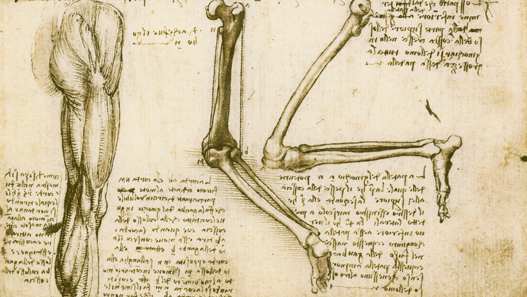 Could You Have Gotten into Cornell in the 19th Century? - Cornellians ...