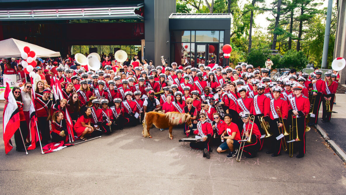 Minnie to the Max! CVM’s Beloved Mini Horse Is a Big Red Star ...