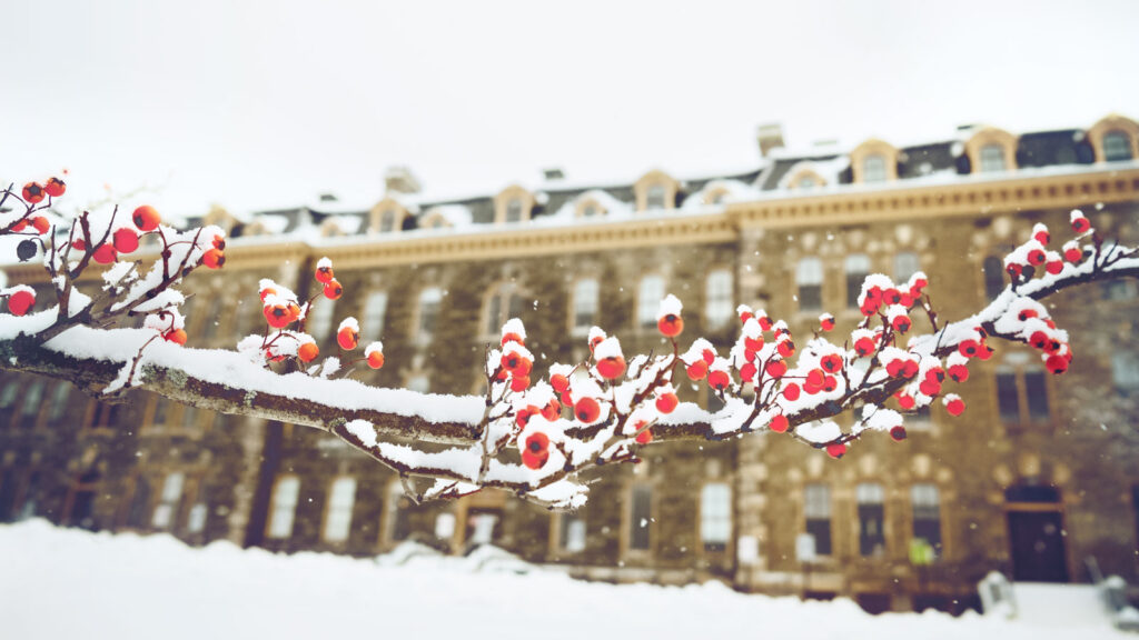 February 2023 - Cornellians | Cornell University