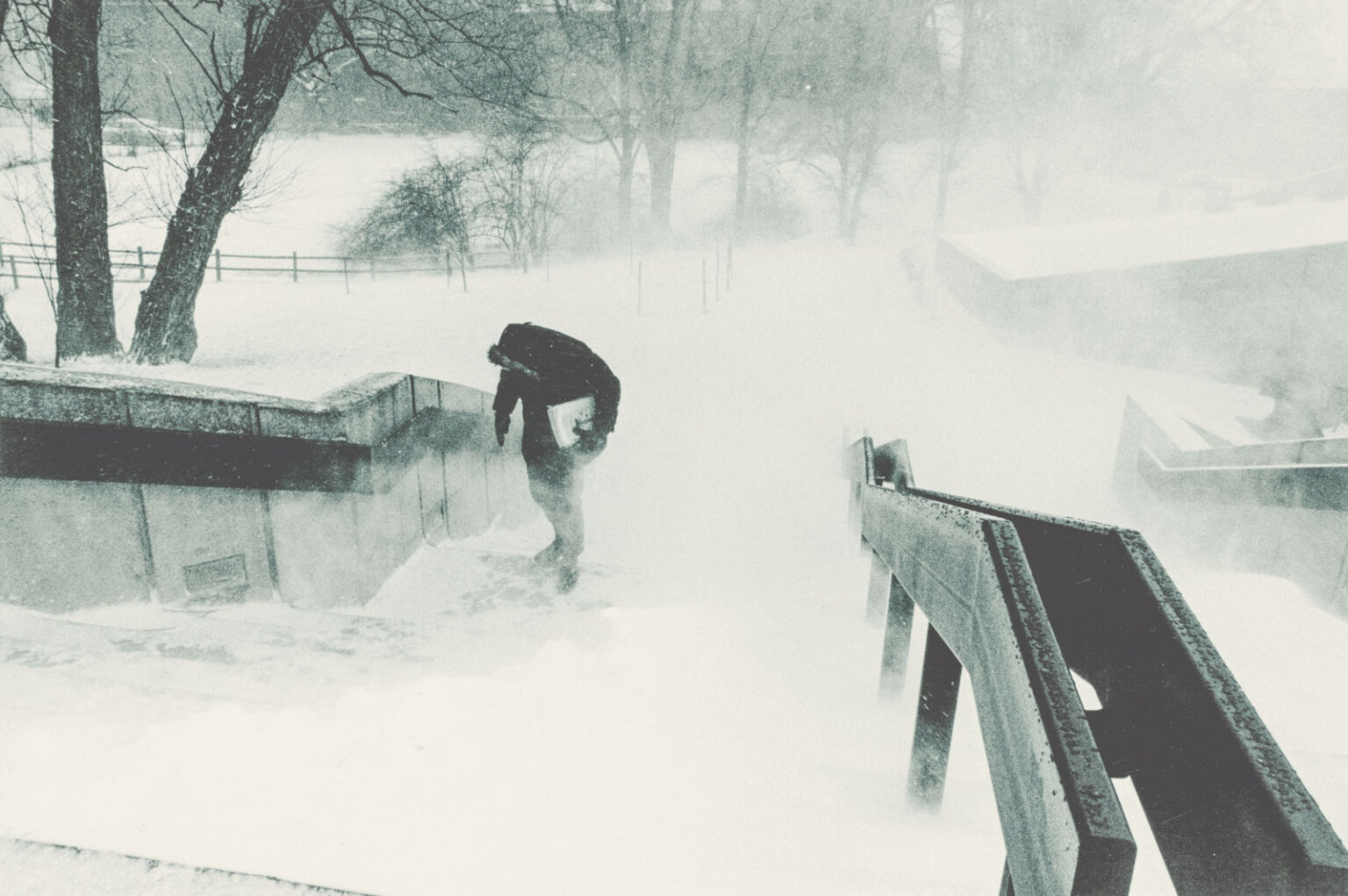 Warm Up a Chilly Day with Big Red Winter Trivia! - Cornellians ...