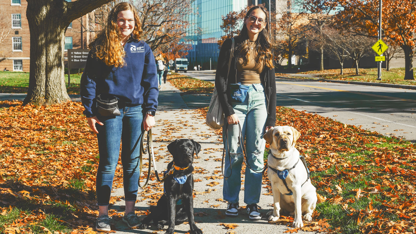 For Guiding Eyes Volunteers, it’s a Labor of (Puppy) Love - Cornellians ...