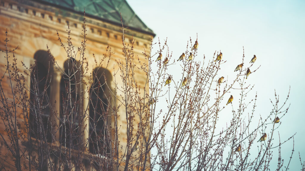 April 2023 - Cornellians | Cornell University