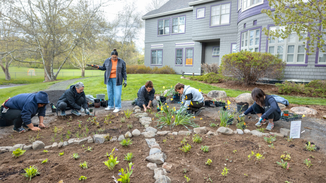 Student Project Brings ‘Healing and Honoring Garden’ to Akwe:kon ...