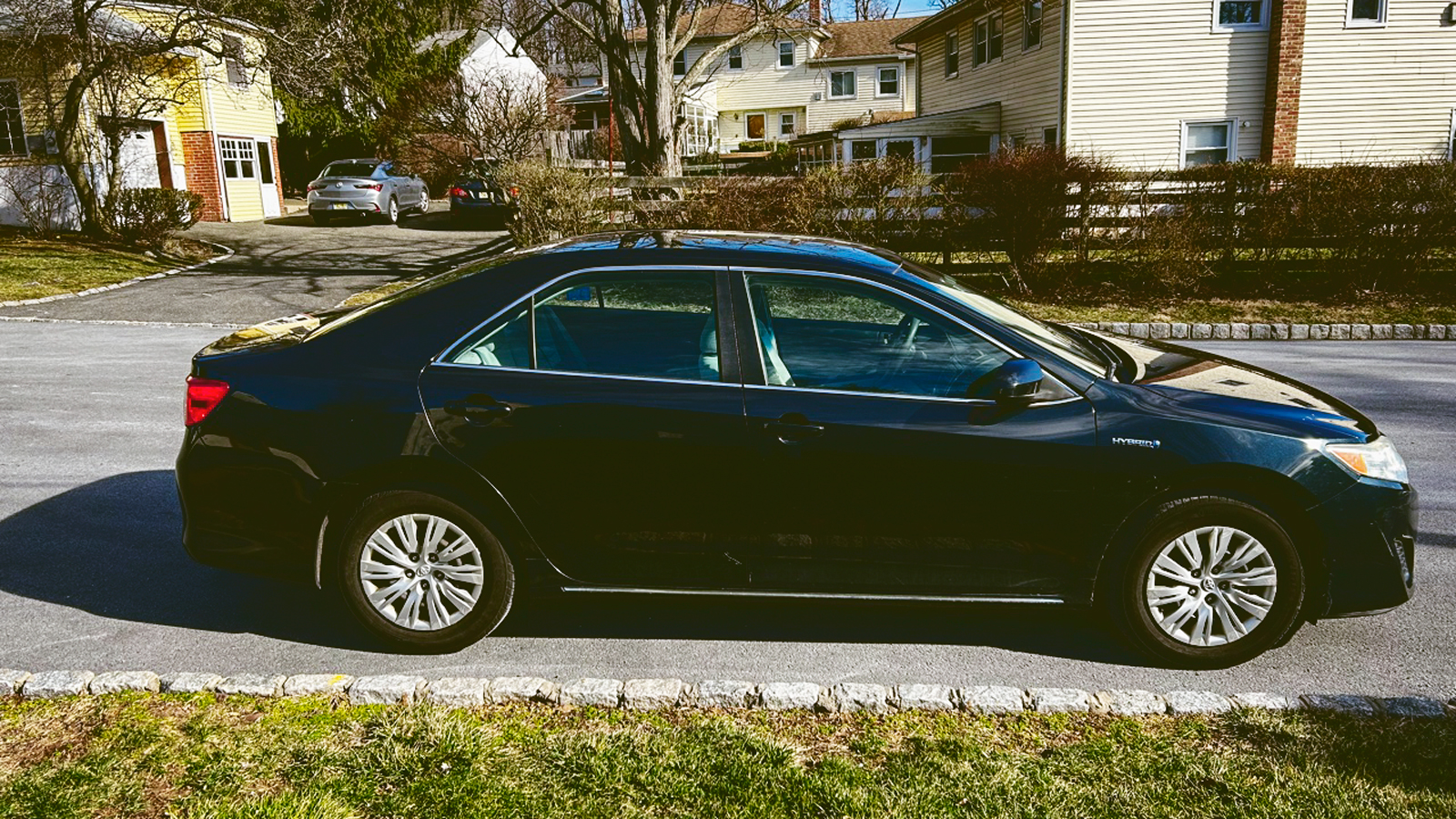 A Cat Named Ezra (and Willard the Turtle, and a Car Called Carl ...