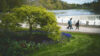 Missing Beebe Lake this Summer? Dive into Some Fascinating Facts ...