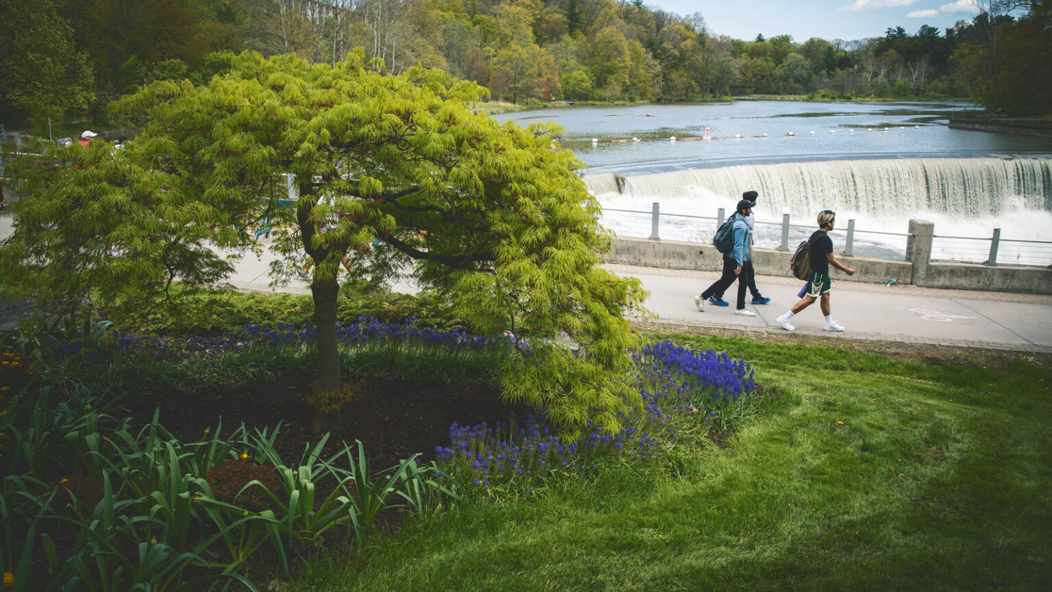 Missing Beebe Lake this Summer? Dive into Some Fascinating Facts ...