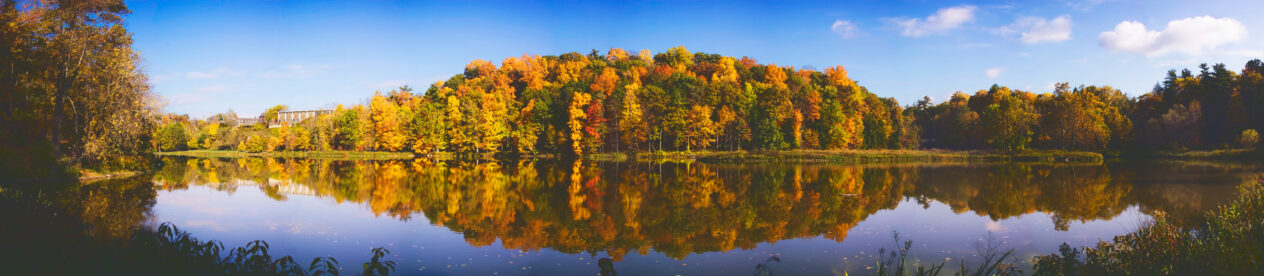 Missing Beebe Lake this Summer? Dive into Some Fascinating Facts ...