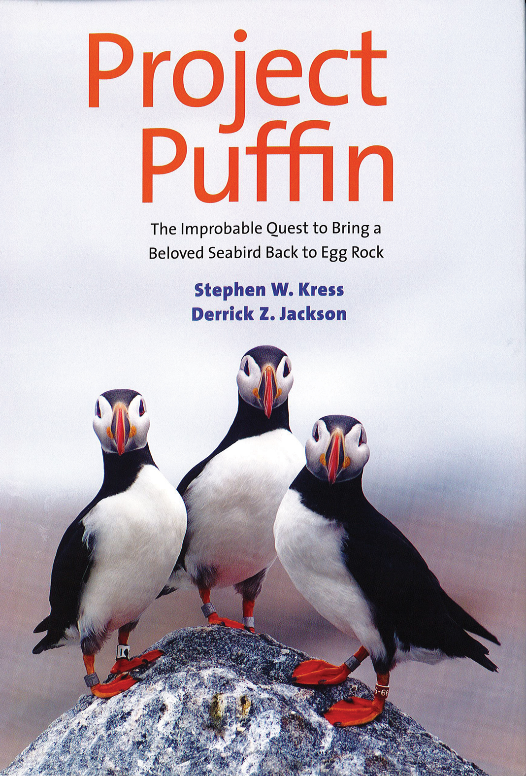 A Half-Century Ago, an Alum Had a Vision: Bring the Puffins Home ...