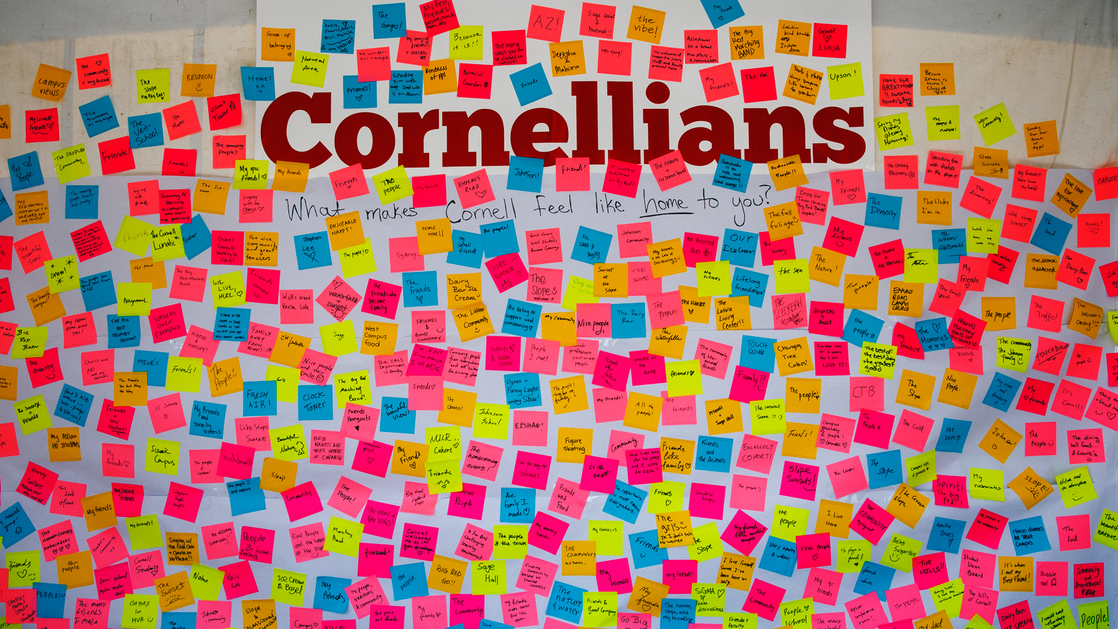 We Asked: ‘What Makes Cornell Feel Like Home?’ You Answered ...