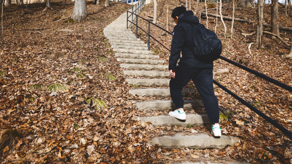 Far(ther) Above: The Campus Stairways Quiz - Cornellians | Cornell ...