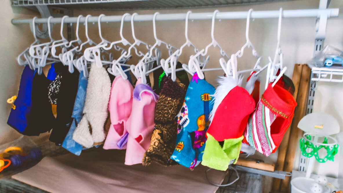 The Wind Beneath His Wings: Alum Manages Pet Bird’s Career ...