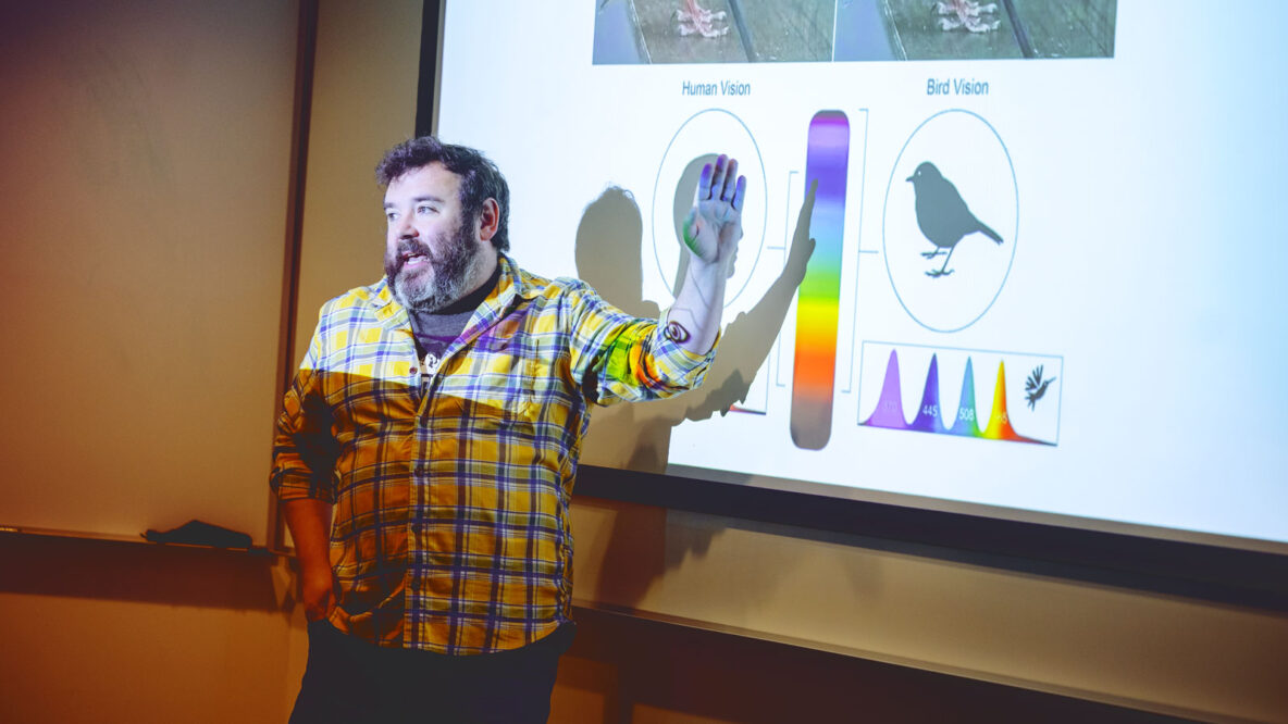 Cartoons in the Curriculum: Teaching Science through Animation ...