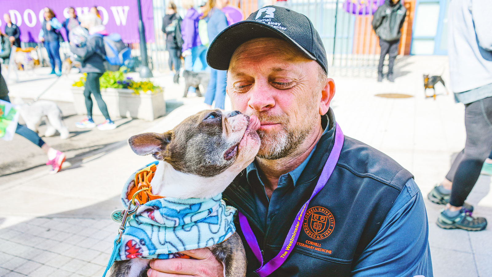 Cornell Vets Went to Westminster—and Came Back with Photos ...