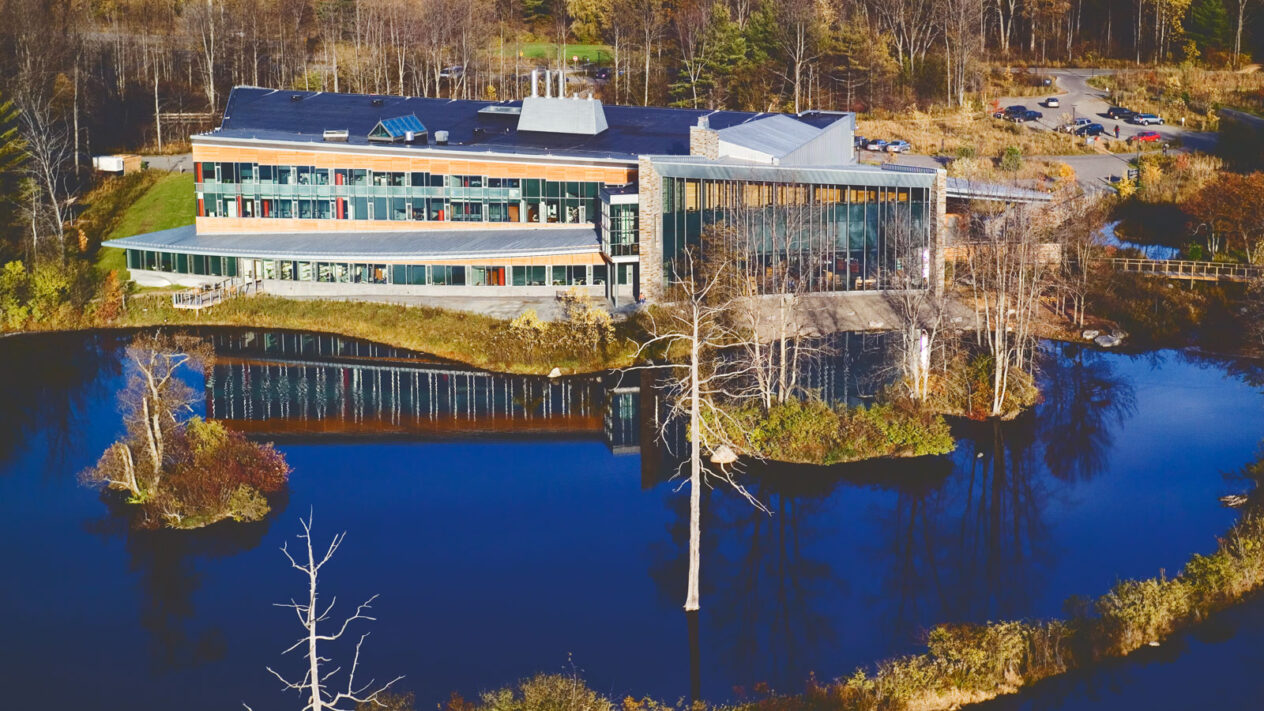 Fine, Feathered, Fascinating Facts about the Lab of Ornithology ...