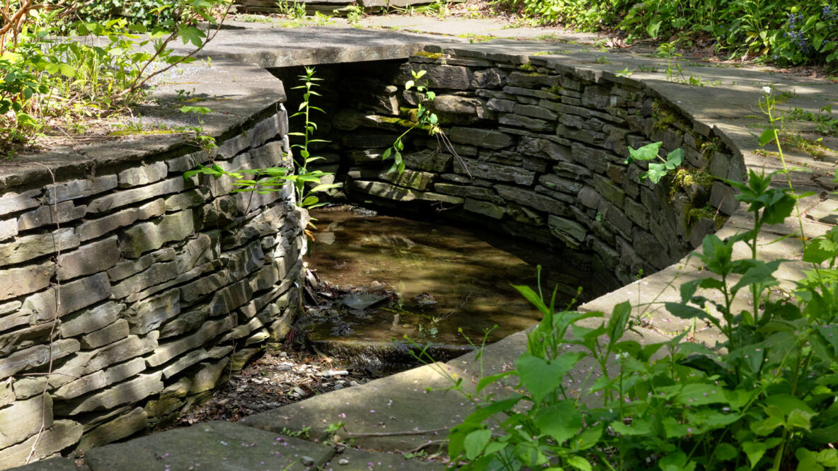 Visual Quiz: Verdant Views - Cornellians | Cornell University