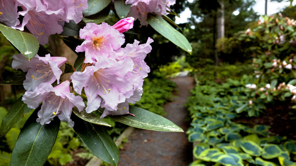 Visual Quiz: Verdant Views - Cornellians | Cornell University