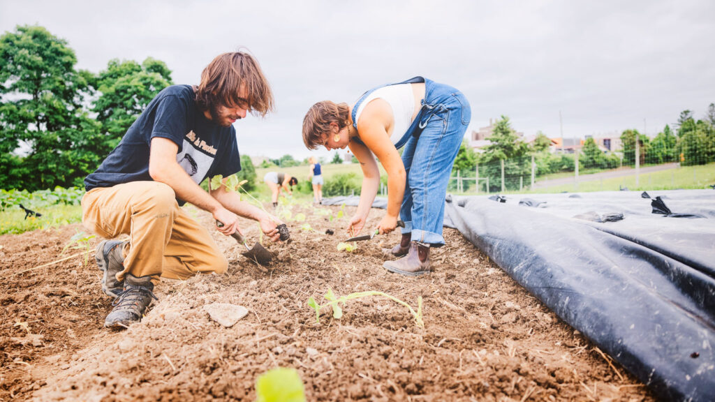 Student-Run Farm Grows Crops—and Community - Cornellians | Cornell ...