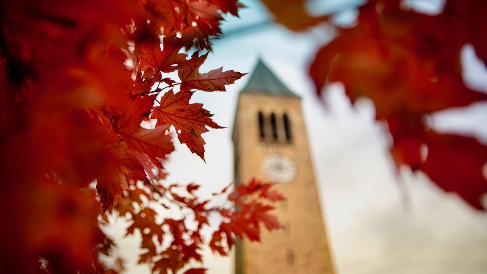 During the Season of Dazzling Color, It's Big Red—and Yellow and Orange ...