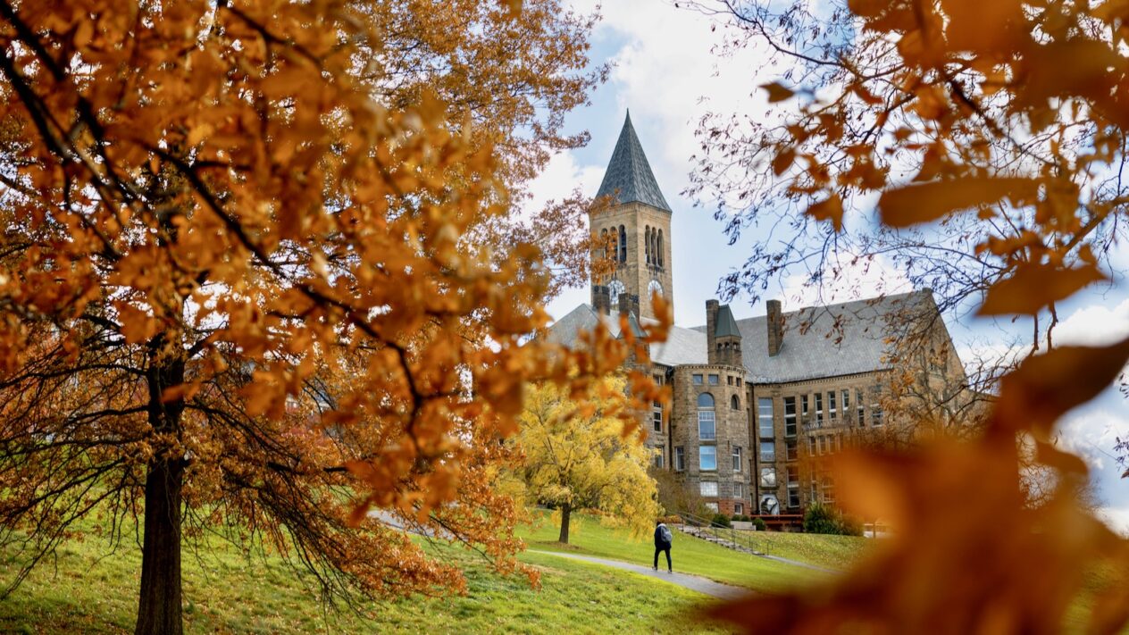 During the Season of Dazzling Color, It's Big Red—and Yellow and Orange ...