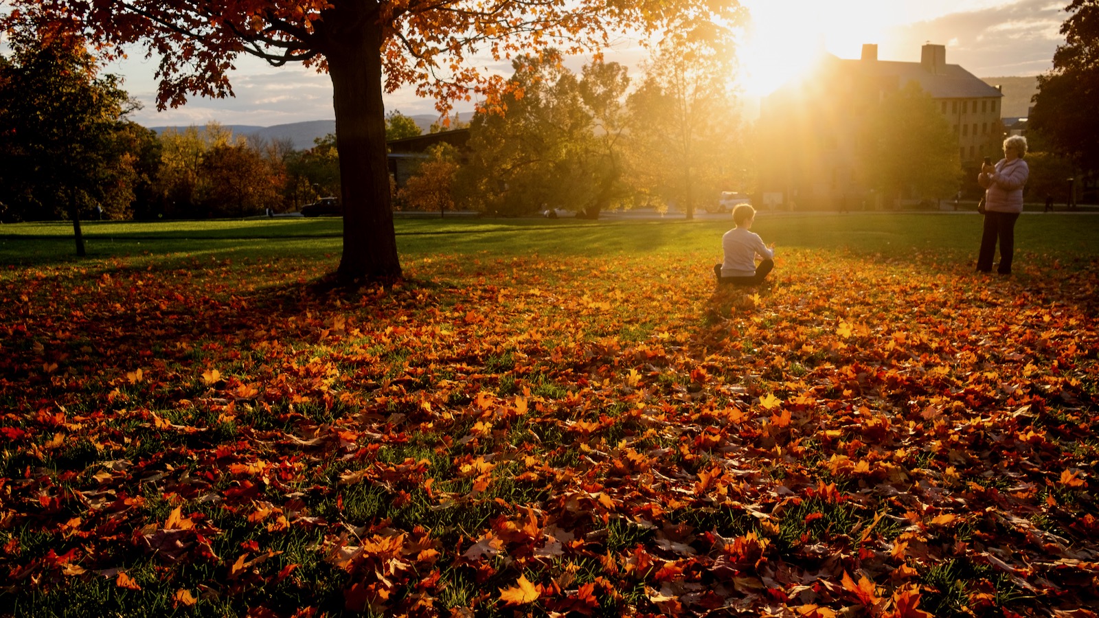 During the Season of Dazzling Color, It's Big Red—and Yellow and Orange ...
