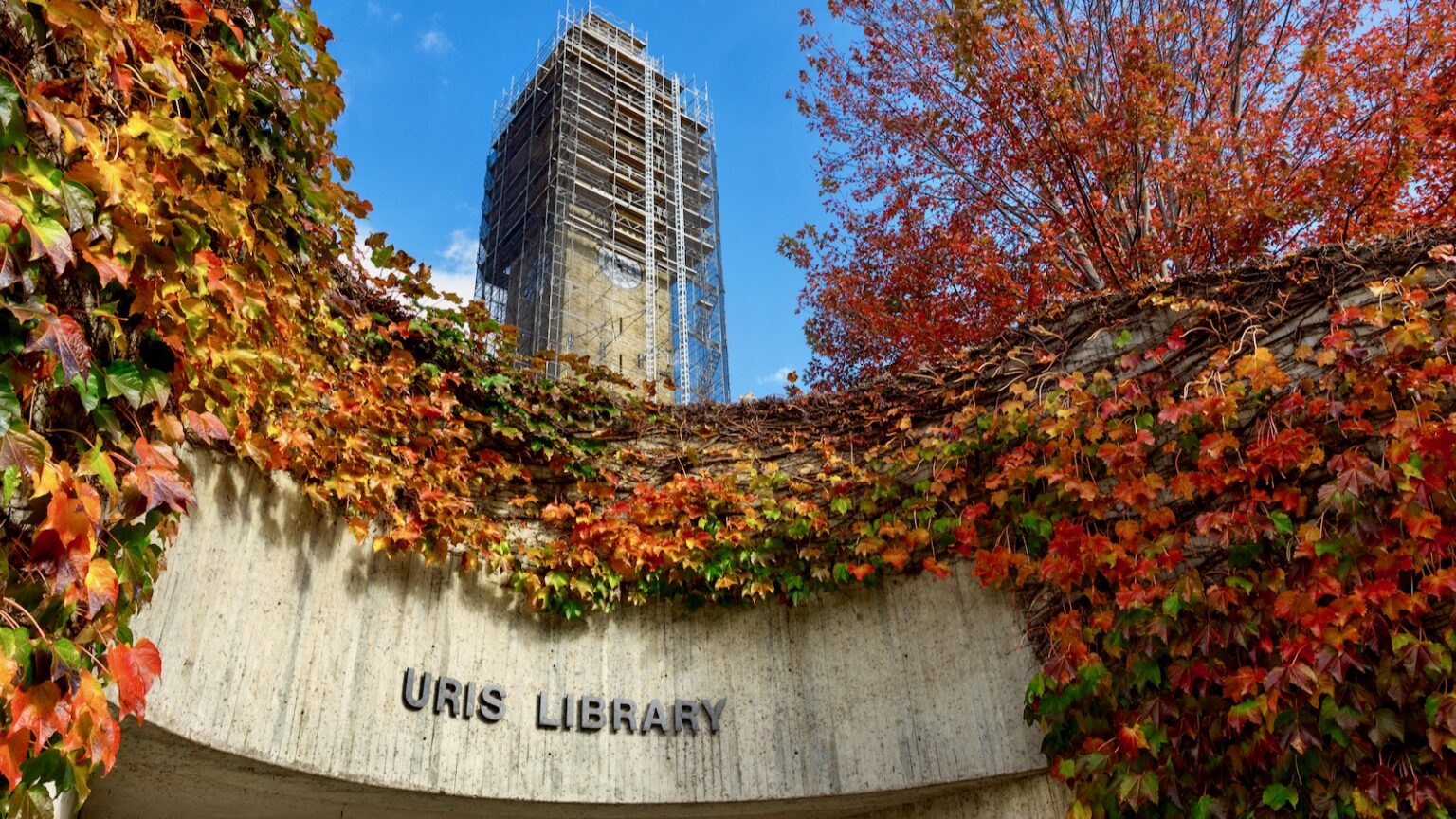 During the Season of Dazzling Color, It's Big Red—and Yellow and Orange ...