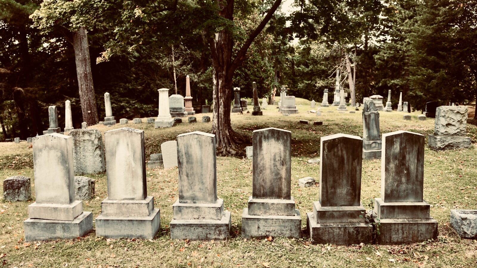 Which Big Red Ghost Are You? - Cornellians | Cornell University