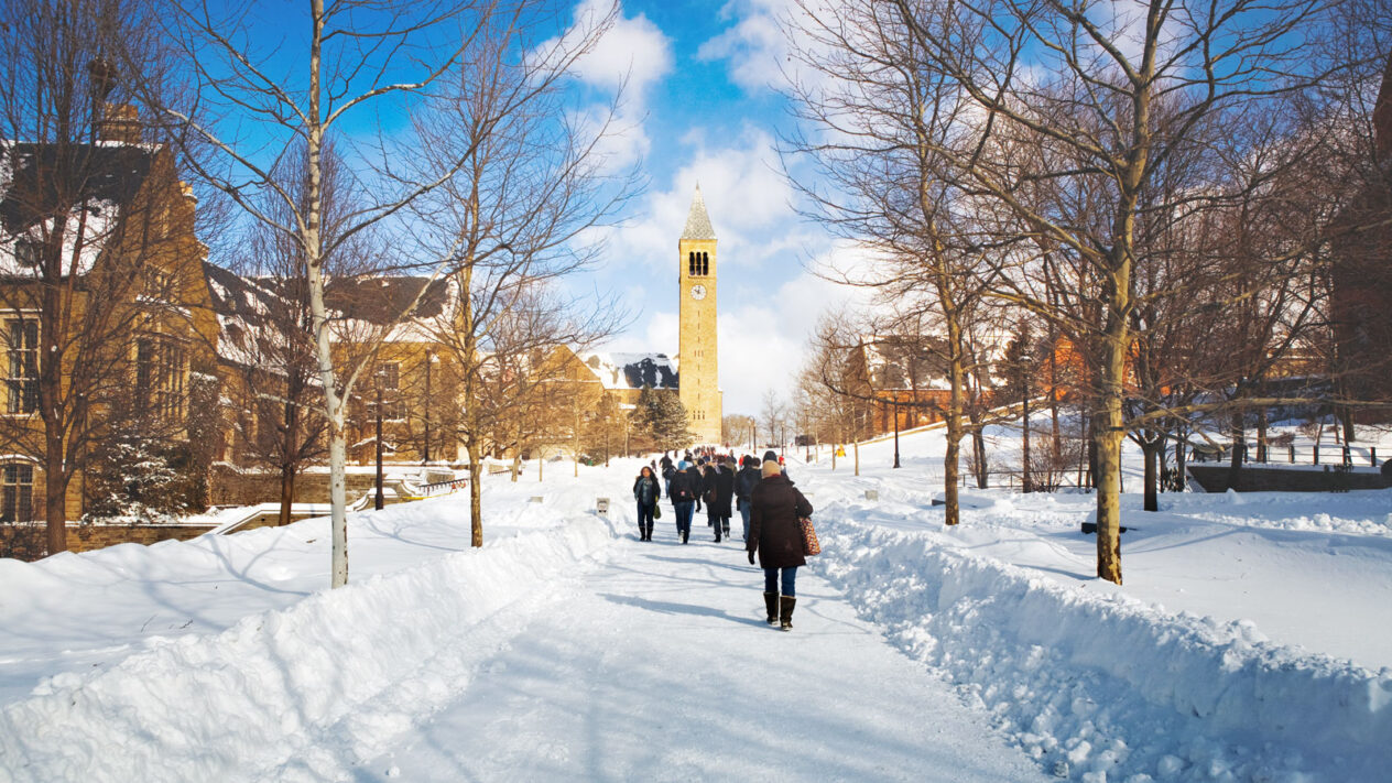 January / February 2025 - Cornellians | Cornell University