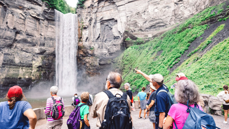 CAU Lets You Go Back to School (Without those Pesky Prelims ...