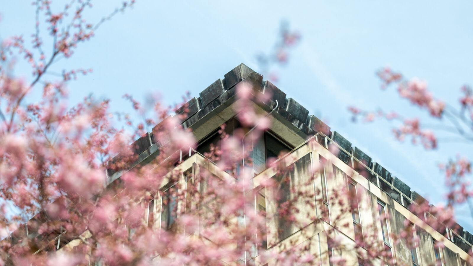 After a Long, Cold Winter, Spring Has—Finally!—Sprung on the Hill ...