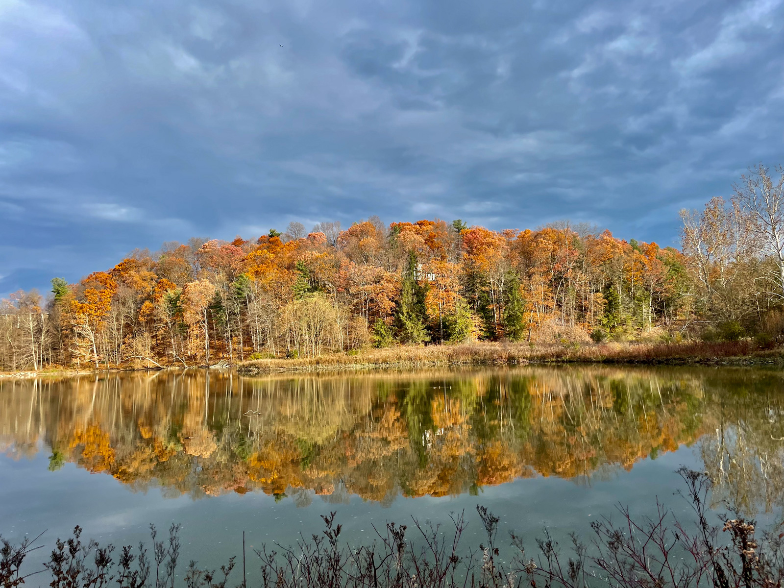 'This Beautiful Place of Nature and Learning': Through Garrett’s Lens ...