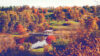 Acres of Natural Beauty: Fascinating Facts About the Botanic Gardens ...