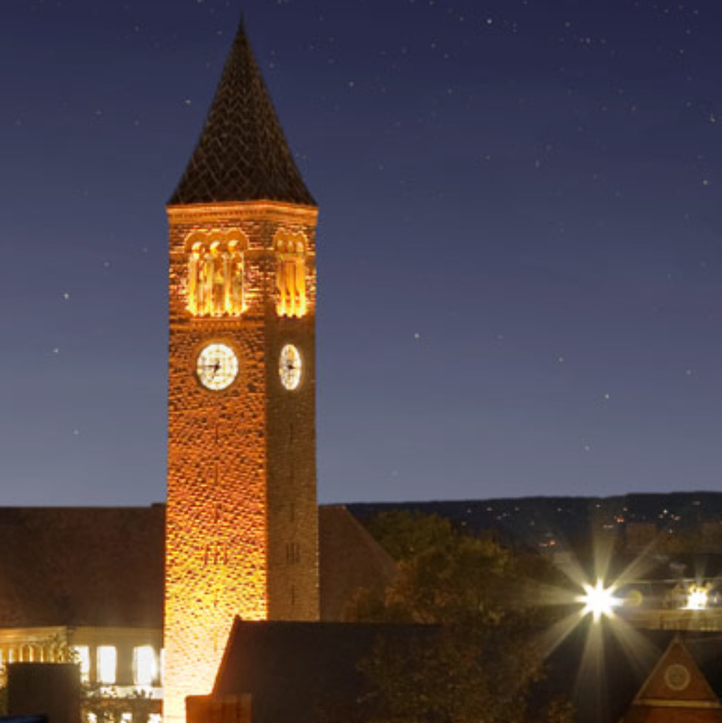 Cornell Alumni-Elected Trustee Candidates Up Close