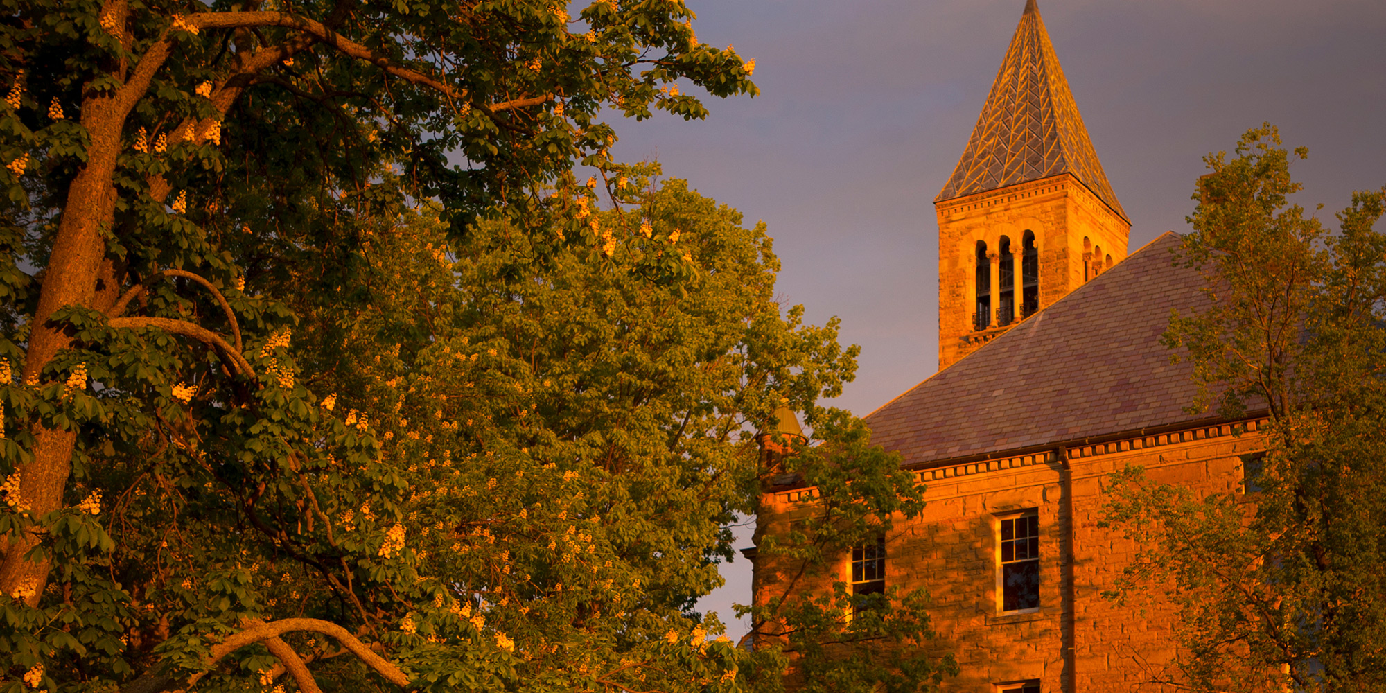 Committee on Alumni Trustee Nominations (CATN) - Alumni, parents, and ...