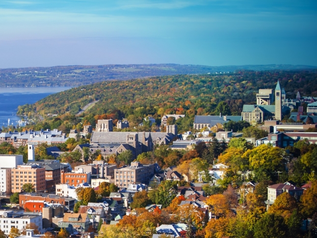 Get to know Alumni Affairs and Development