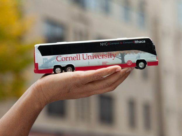 Cornell Reunion | Alumni, parents, and friends | Cornell University