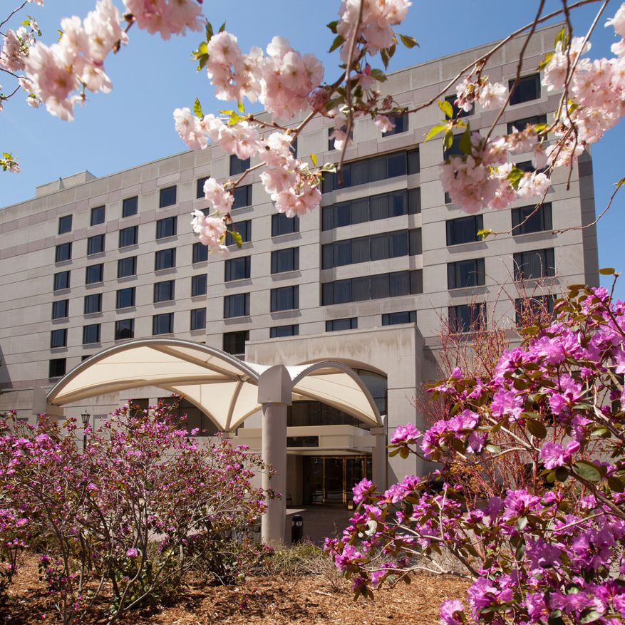 Alumni Affinity Programs Directory - Alumni, parents, and friends | Cornell University