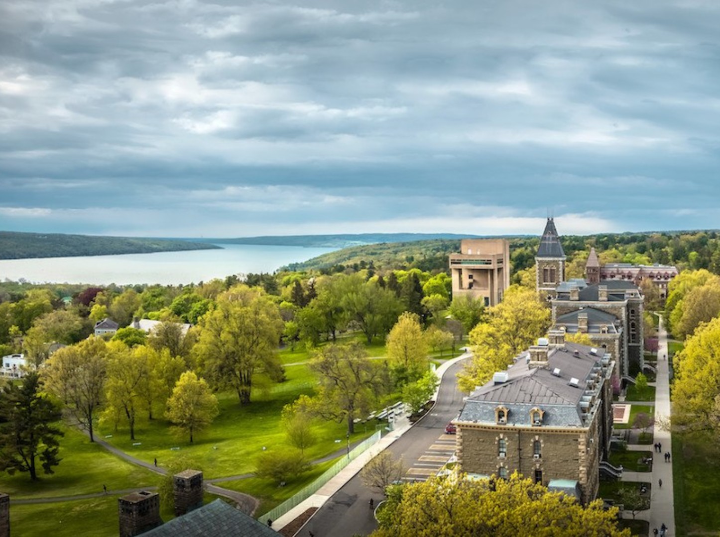 Meet the 2020 candidates for the alumni trustee election - Alumni ...