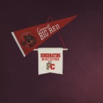 Zoom Virtual Backgrounds - Alumni, parents, and friends | Cornell ...