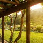 Zoom Virtual Backgrounds - Alumni, parents, and friends | Cornell ...