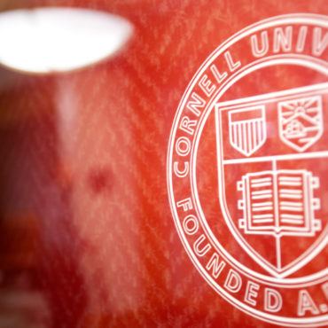 Zoom Virtual Backgrounds - Alumni, parents, and friends | Cornell ...