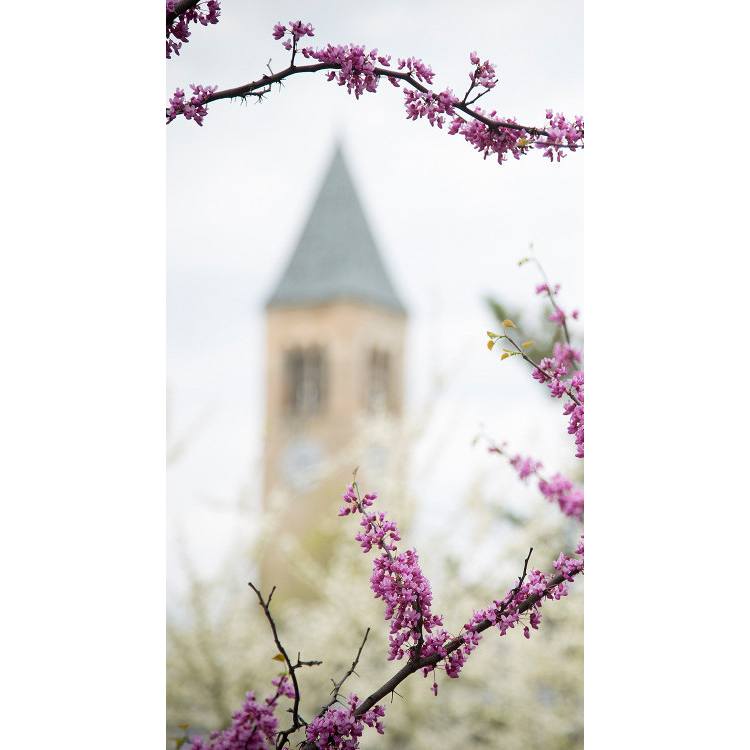 Mobile Phone Backgrounds - Alumni, parents, and friends | Cornell ...