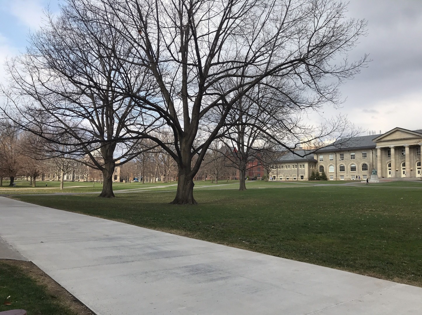 Timeout: students and young alumni reflect on life on pause - Alumni ...