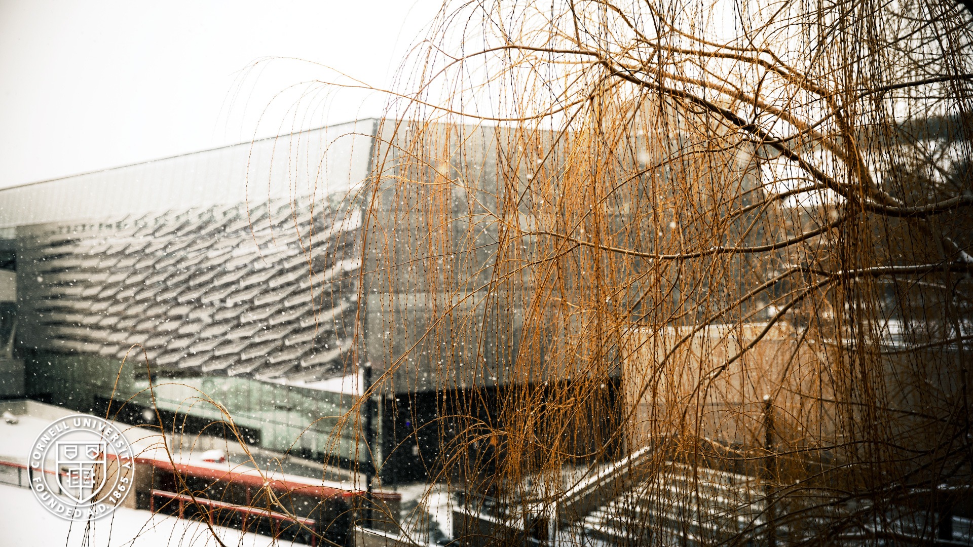 Cornell leads the way in AI - Alumni, parents, and friends | Cornell ...