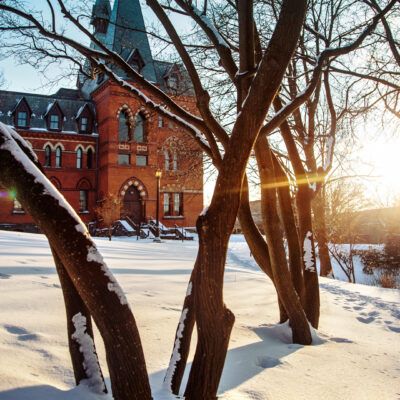 Zoom Virtual Backgrounds - Alumni, parents, and friends | Cornell ...