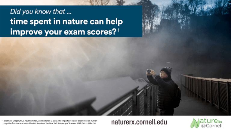 Nature Rx: the many benefits of time outdoors - Alumni, parents, and friends | Cornell University