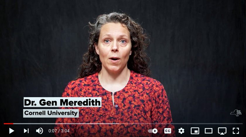 Become a public health hero - Alumni, parents, and friends | Cornell ...