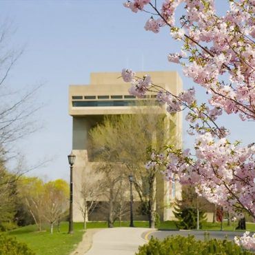 Zoom Virtual Backgrounds - Alumni, parents, and friends | Cornell ...